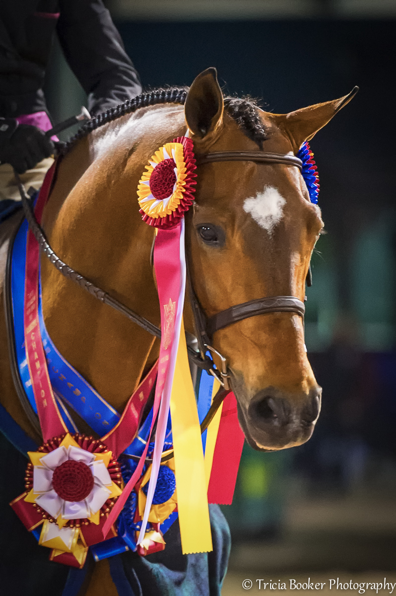 WCHR Spectacular | Tricia Booker Photography